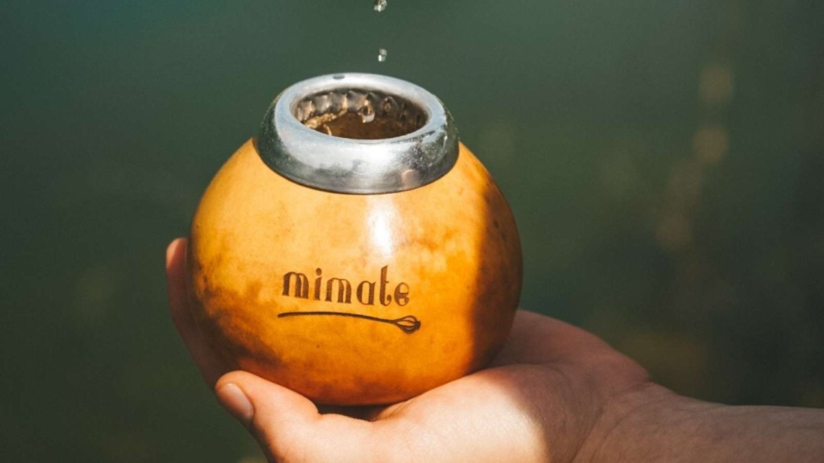 Comment curer une calebasse à maté avant sa première utilisation ? | Mimaté