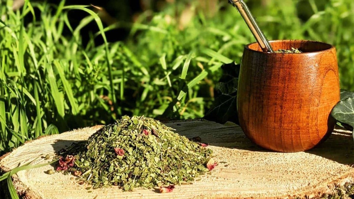 C'est quoi le maté bio ? | Mimaté