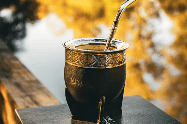 Guide Ultime du Maté : Bienfaits, Préparation et Secrets de la Boisson ...