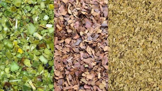 The 3 types of yerba mate | Mimaté